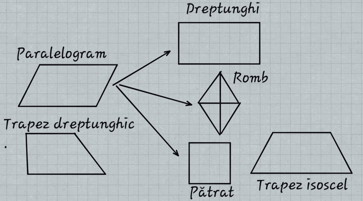 PATRULATERE CONVEXE | Caietul de teme